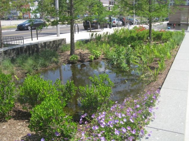Green Infrastructure: Why Do We Need It? | GreenVest, LLC